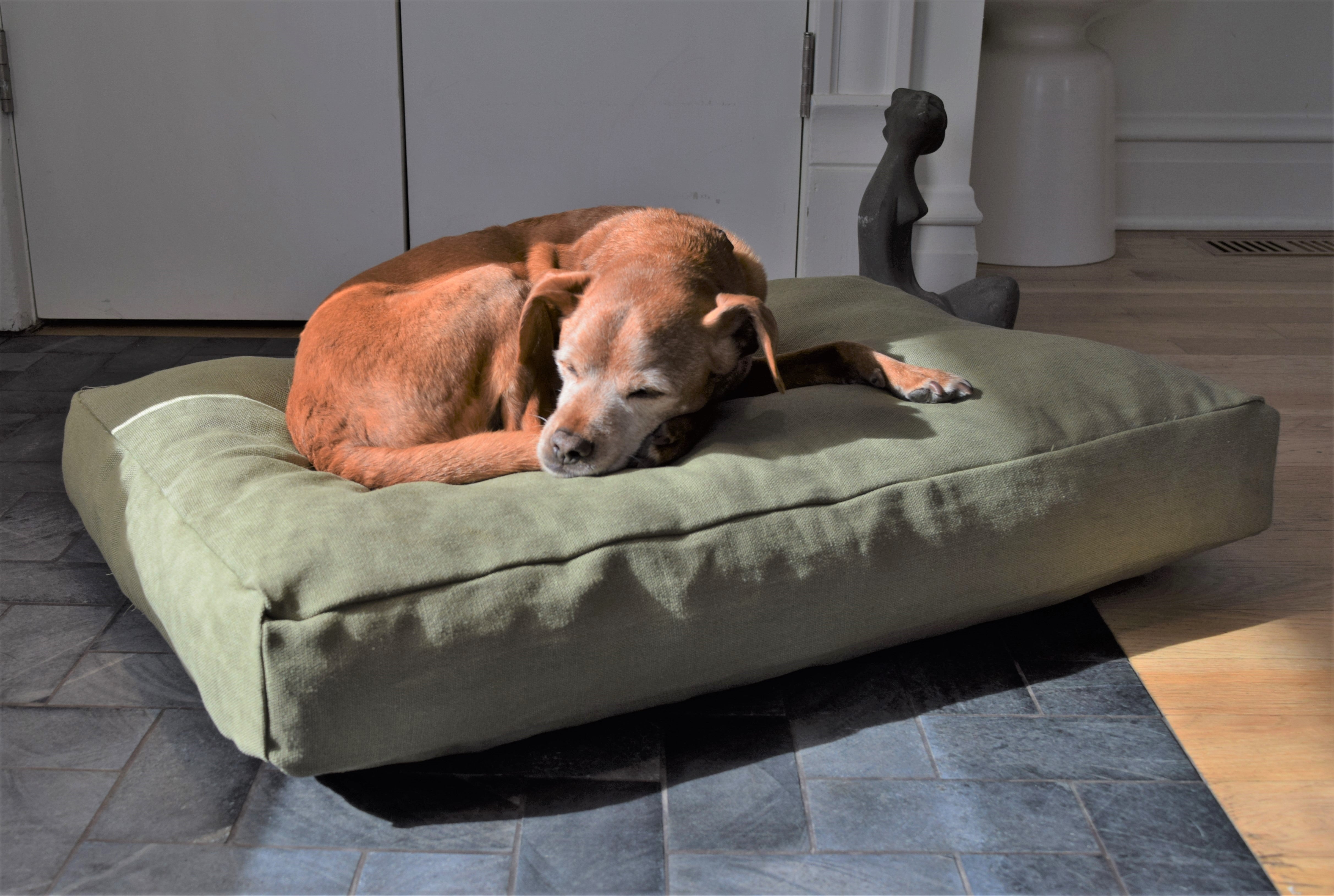 Premium Hemp & Organic Cotton Dog Beds for Pets – Bean Products